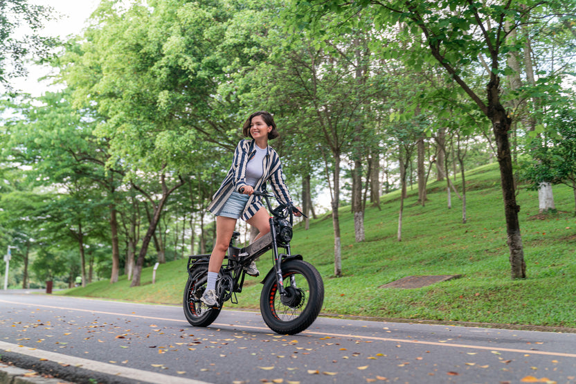 Lankeleisi Official Site RV800PLUS/MG740PLUS Electric Mountain Bike ...