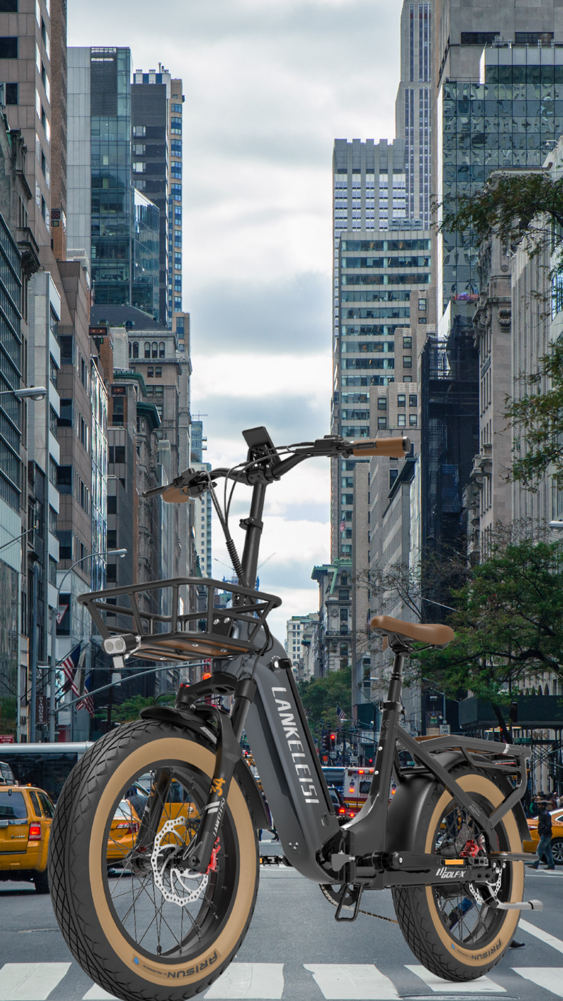 Lankeleisi-Official Site | Dual Motor E-bikes | Three Years Warranty